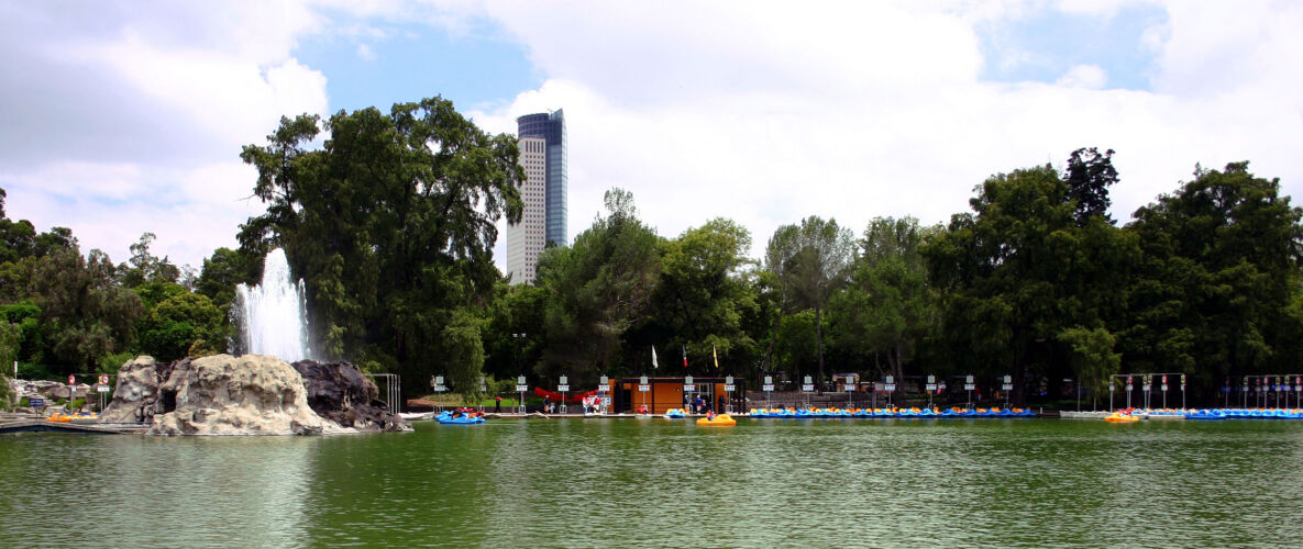 Rehabilitación del Bosque de Chapultepec – GDU